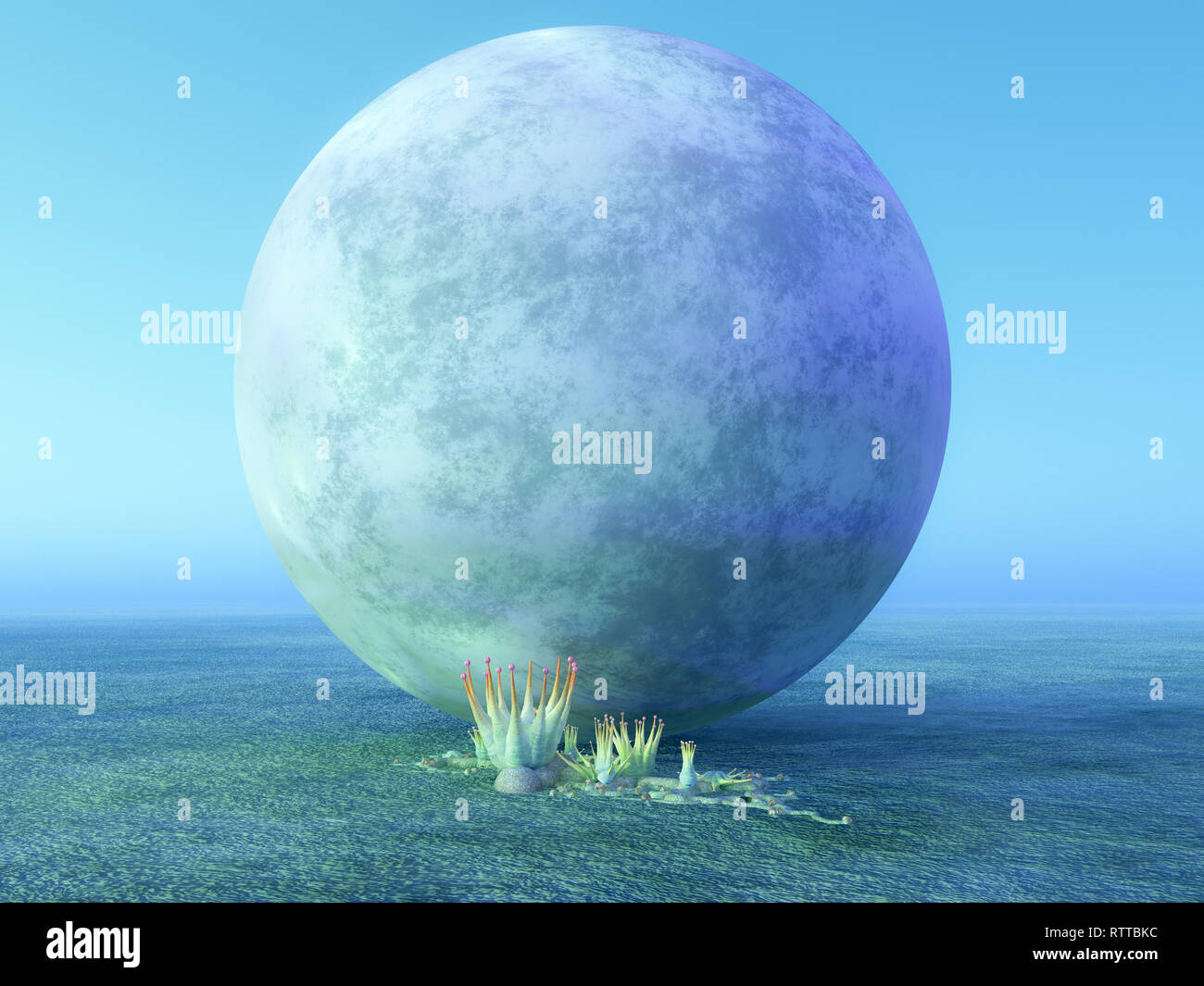 A rock orb sphere and science fictional plants on alien environment ...