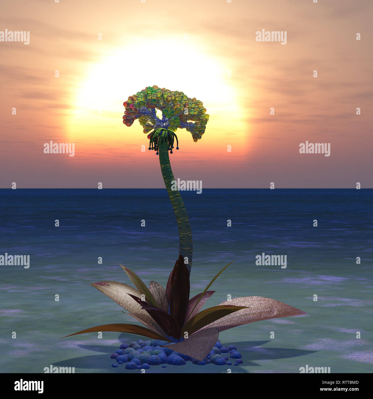 Alien plant hi-res stock photography and images - Alamy