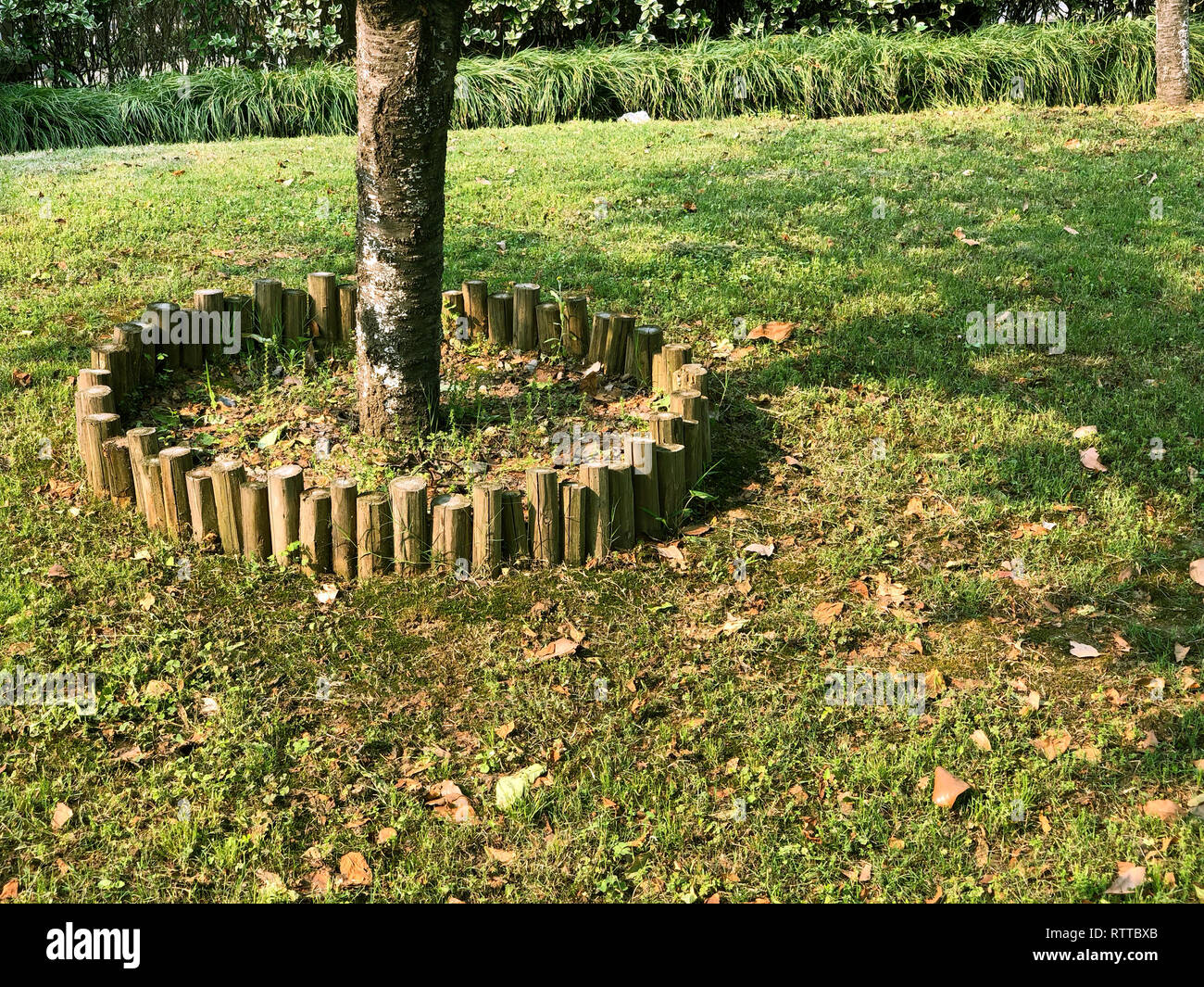 Tree trunk fence hi-res stock photography and images - Alamy