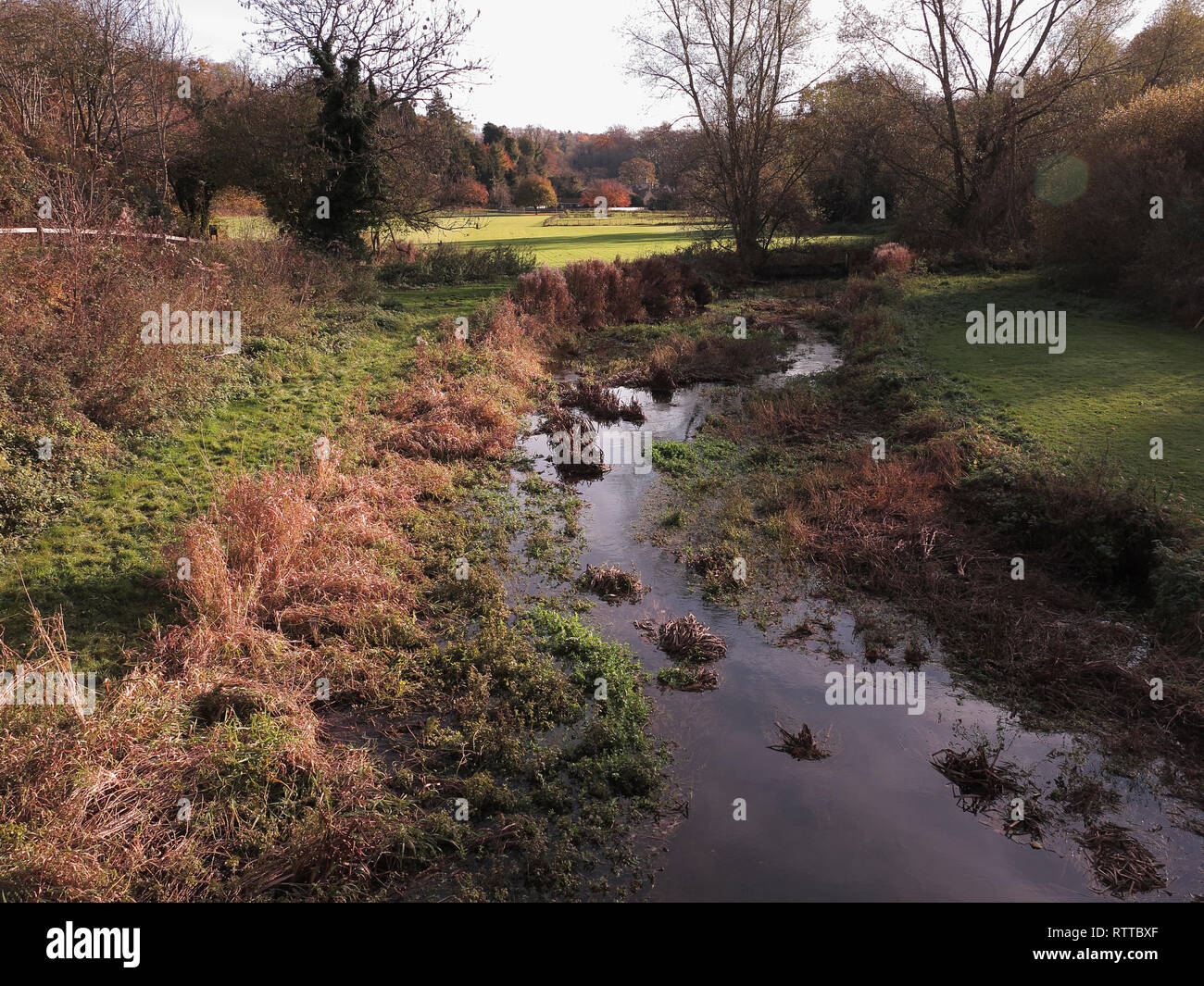 The By Brook in Autumn near Castle Combe Wiltshire England UK Stock ...