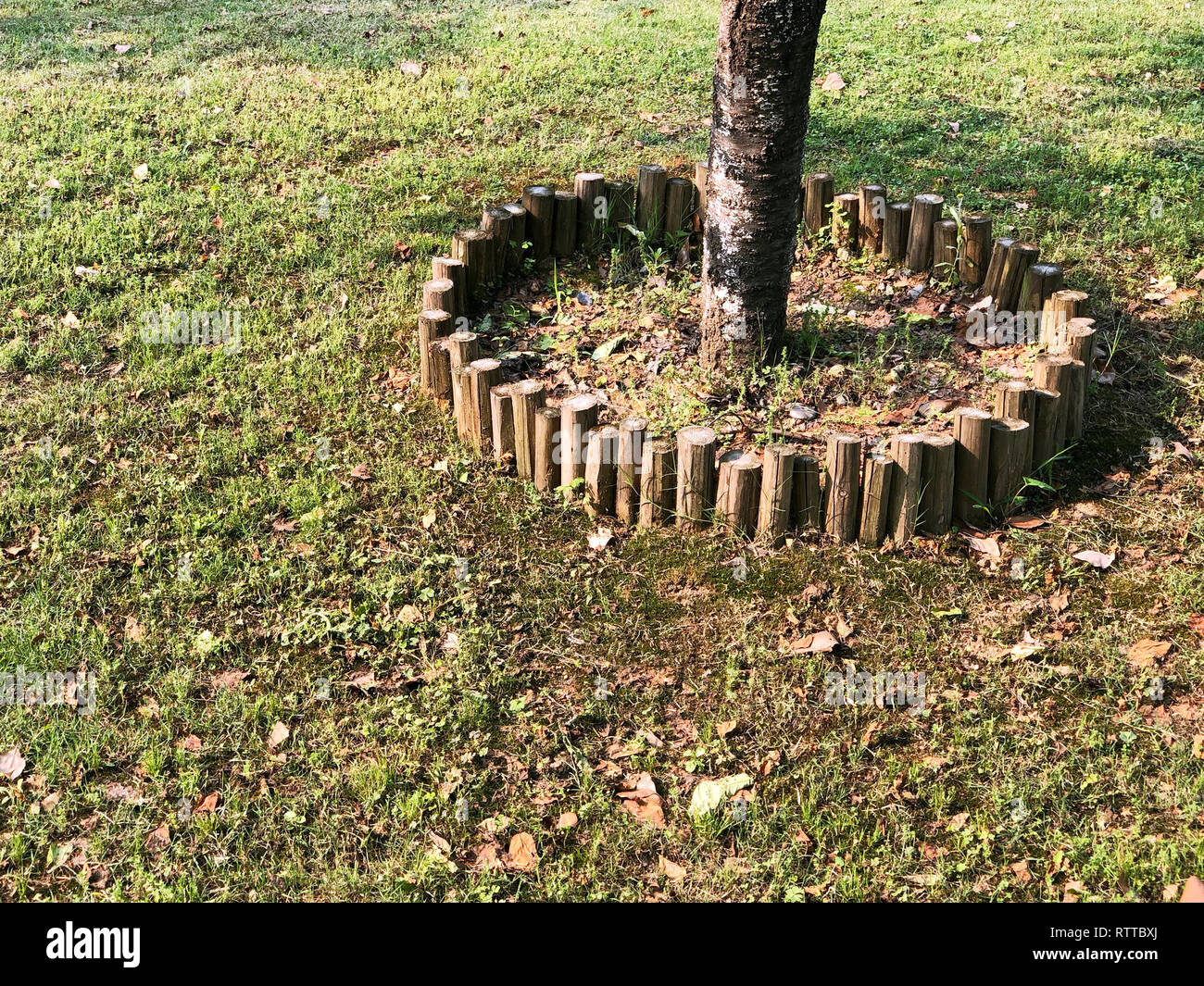 Tree trunk fence hi-res stock photography and images - Alamy