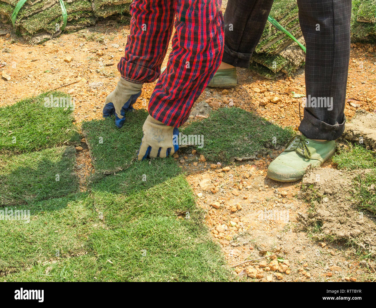 Installing grass hi-res stock photography and images - Alamy