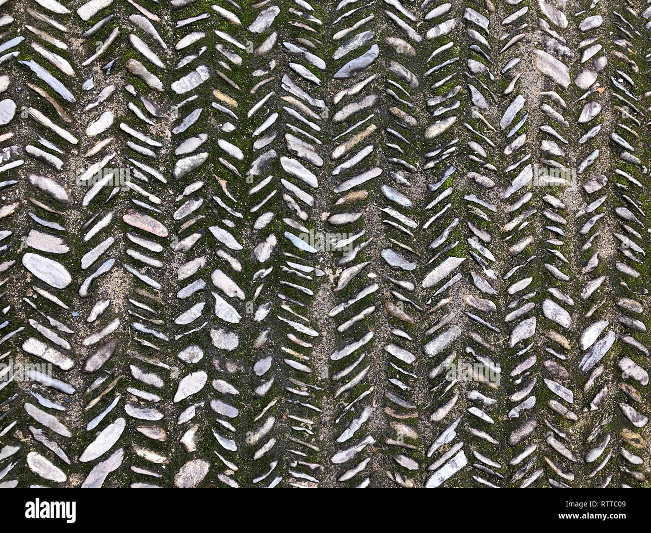 Man Made Stone Pathway in Chinese Garden Stock Photo - Alamy