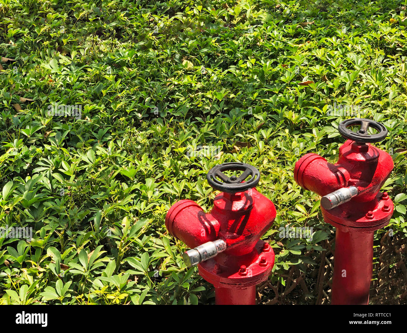 Couple of Street Water Hydrants. Red Fire Cock Stock Photo - Alamy