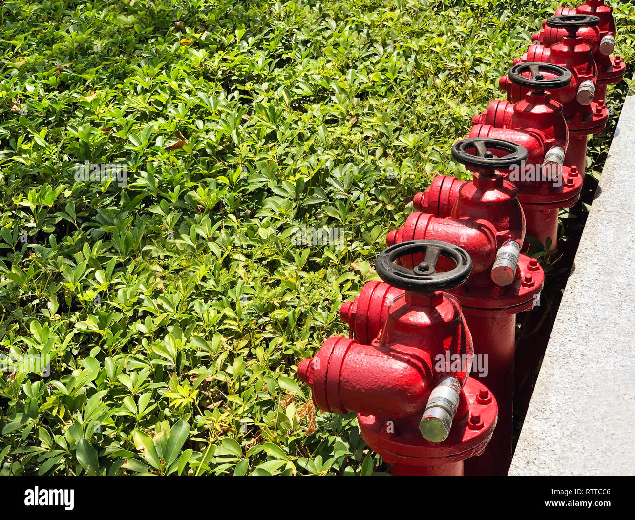 Set of Street Water Hydrants. Red Fire Cock Stock Photo - Alamy