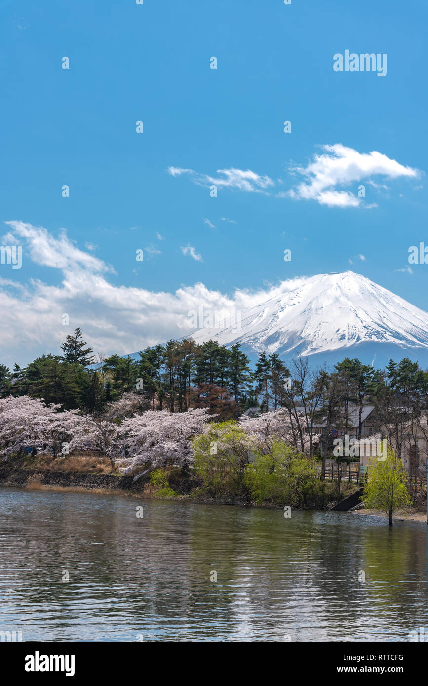Close-up snow covered Mount Fuji ( Mt. Fuji ) with blue sky background ...