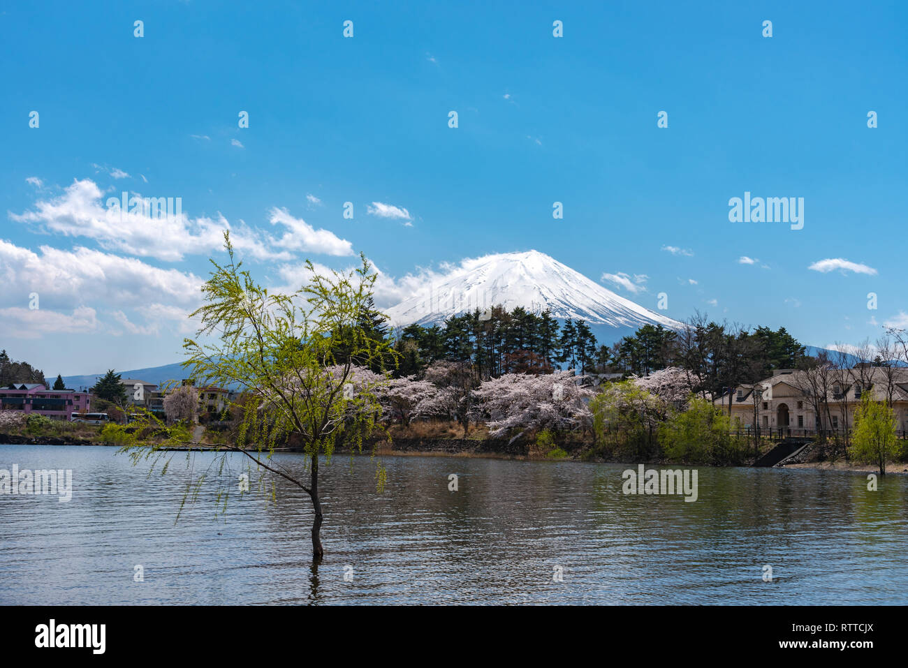 Close-up snow covered Mount Fuji ( Mt. Fuji ) with blue sky background ...