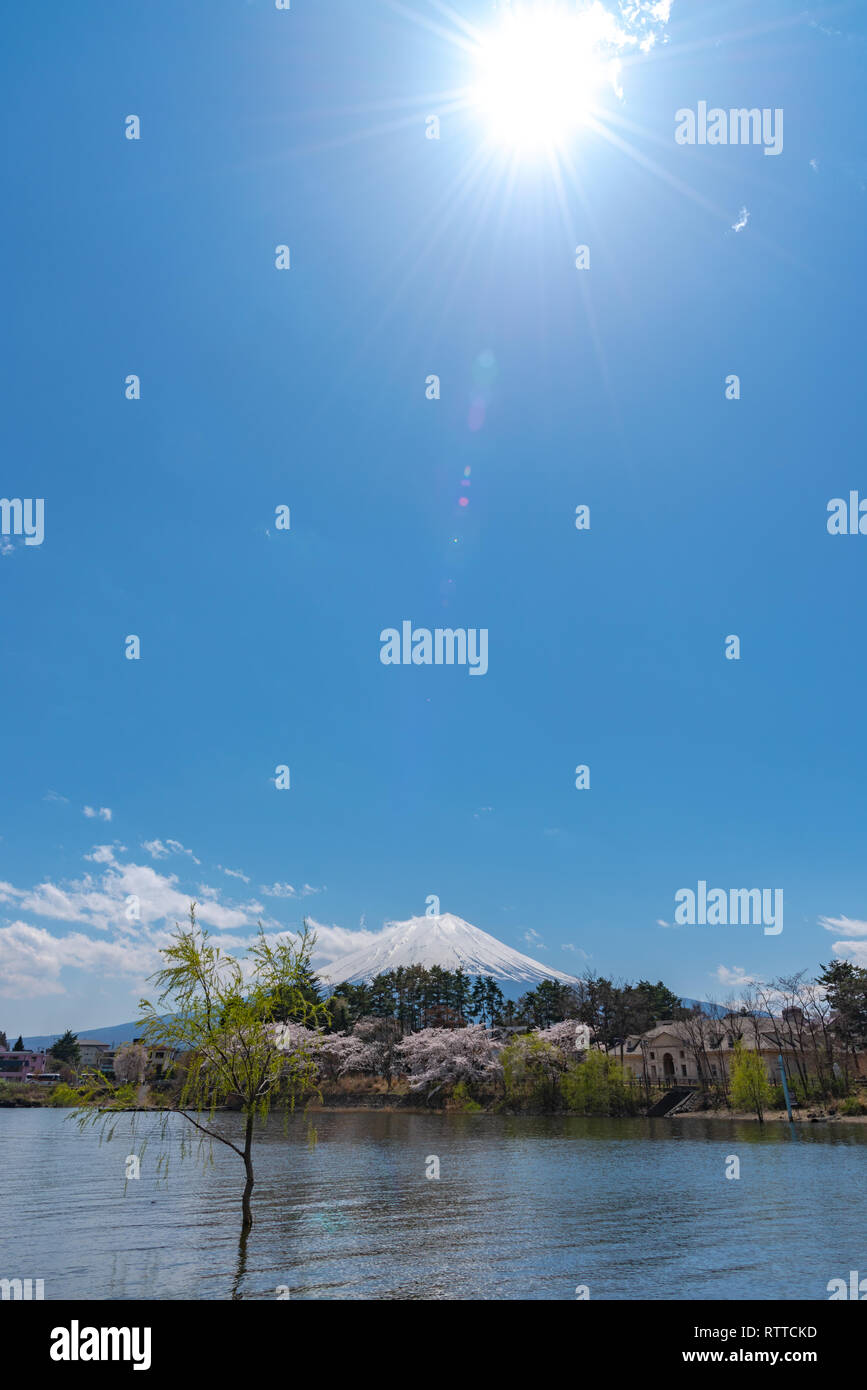 Close-up snow covered Mount Fuji ( Mt. Fuji ) with blue sky background ...