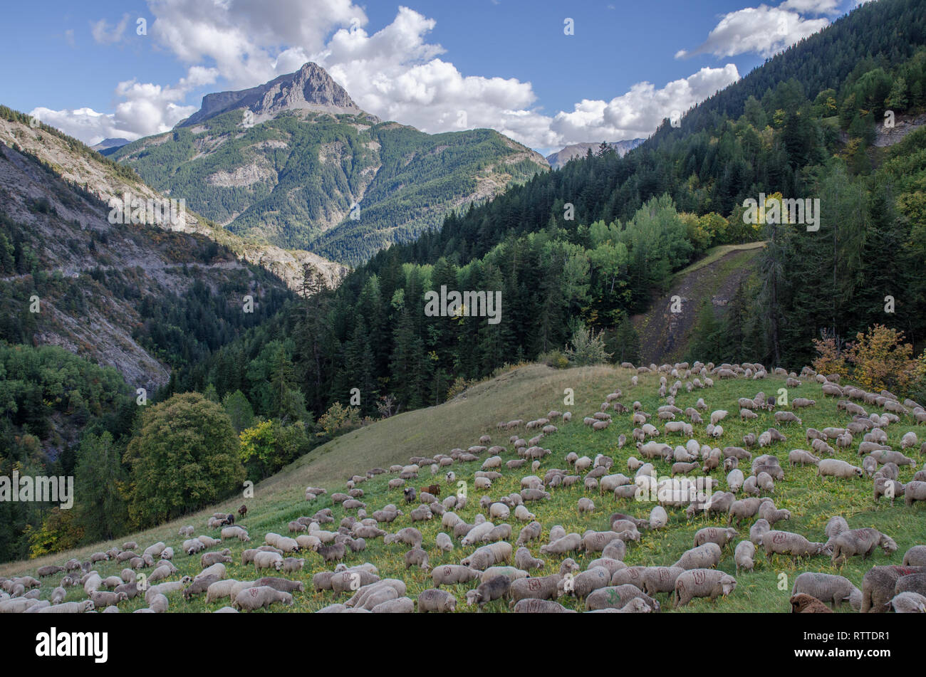 Allos pass hi-res stock photography and images - Alamy