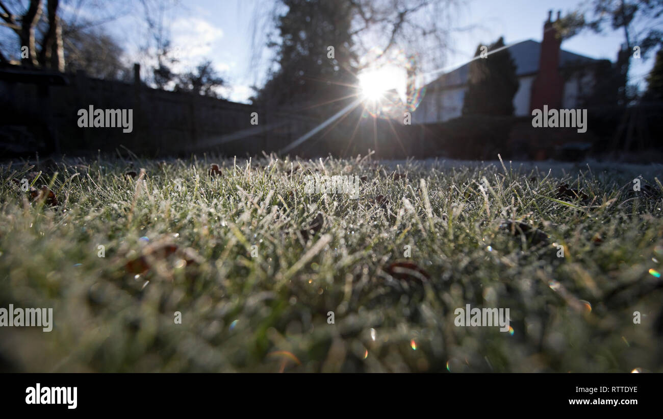 Lawn frost hi-res stock photography and images - Alamy