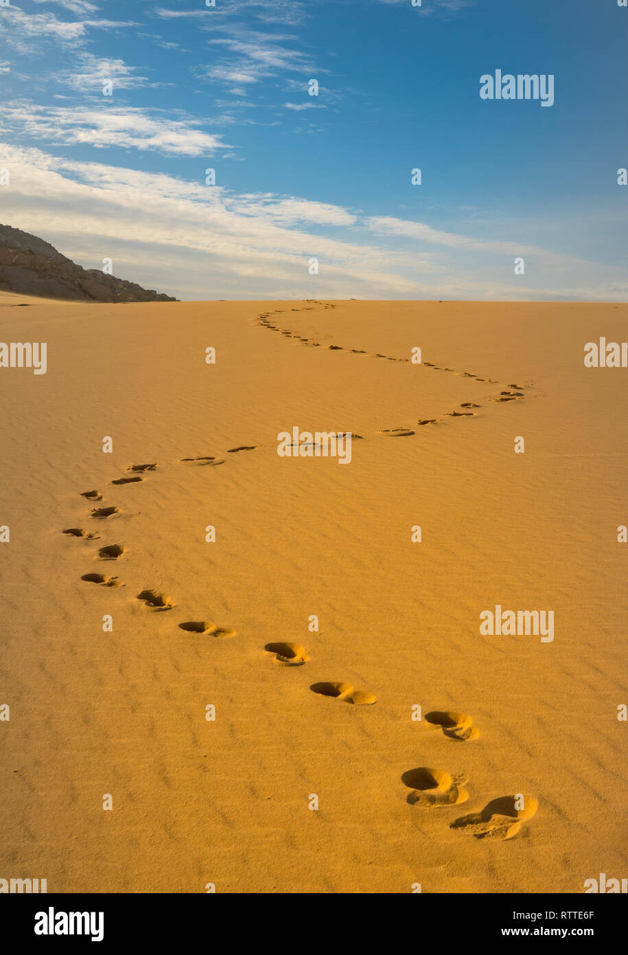Footprints of human feet on the desert golden color sand Stock Photo ...