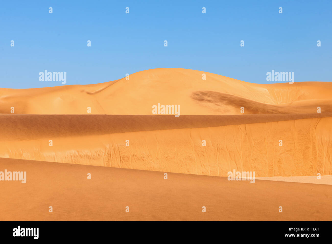 Sand dunes in Dorob National Park in Namibia Stock Photo - Alamy