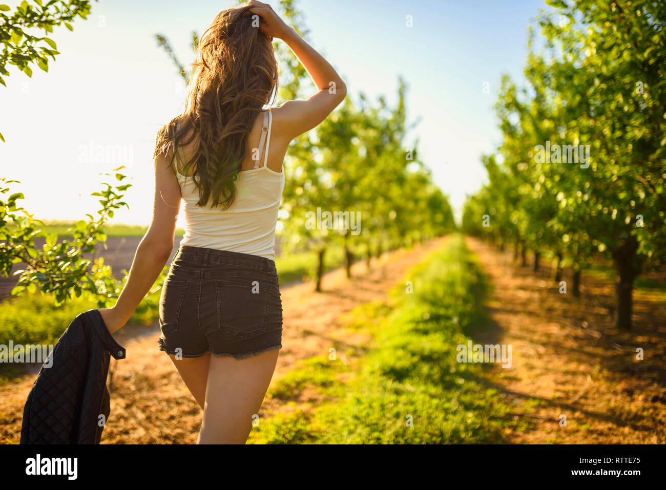 Walking anonymous girl during sunny day in the beautiful fruit orchard ...