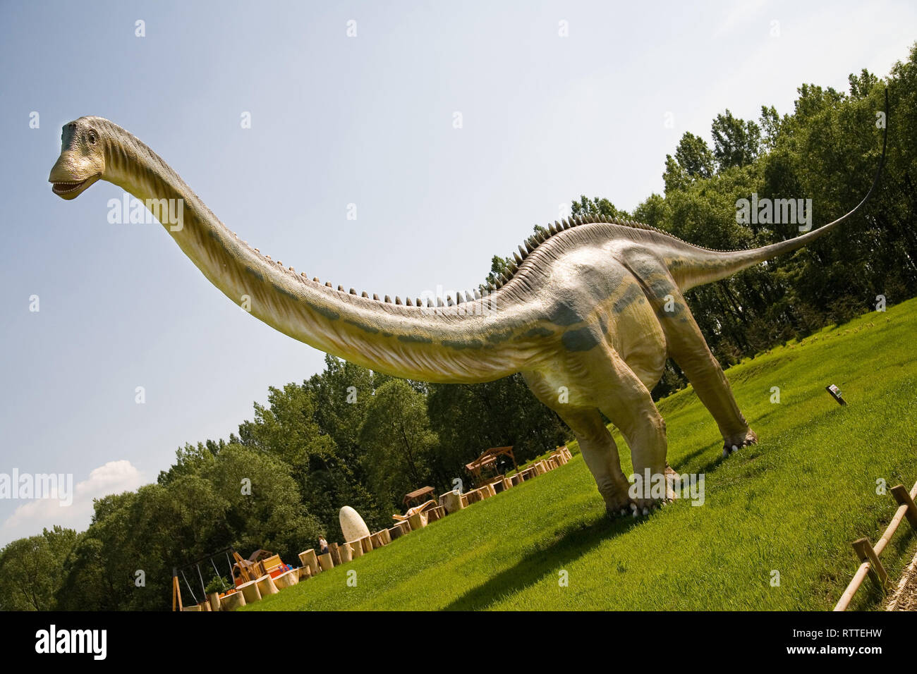 Jurassic park - set of dinosaurs - long body of Diplodocus longus Stock ...