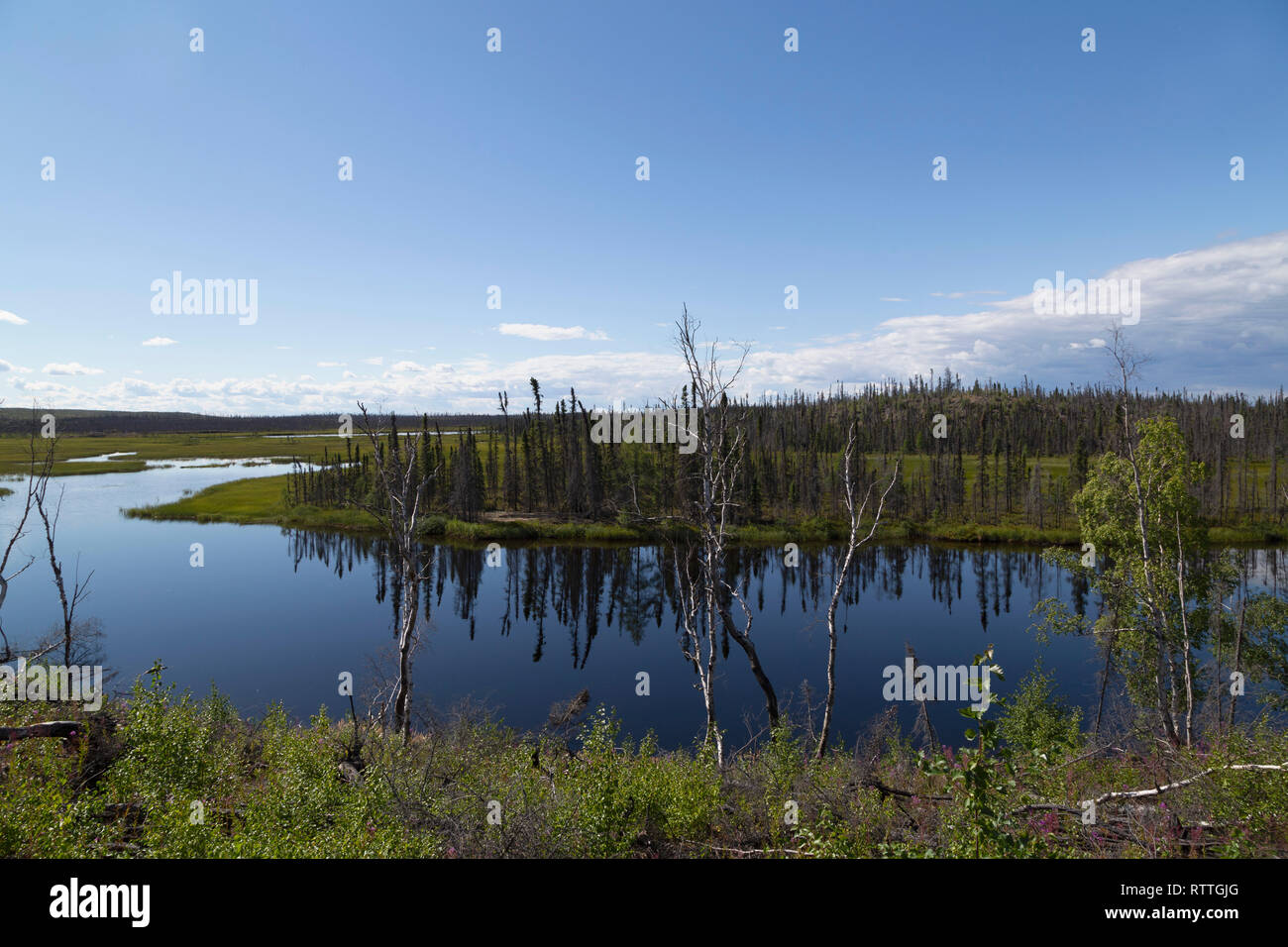 Canada Forest High Resolution Stock Photography and Images - Alamy