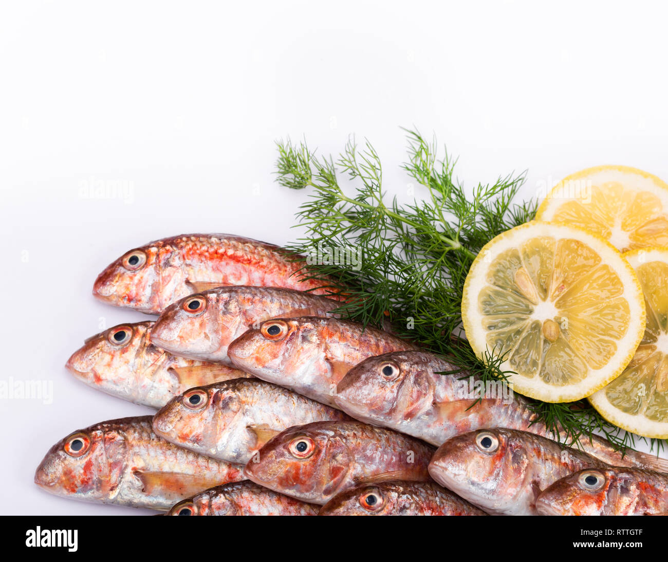 Red mullet on white background Stock Photo - Alamy