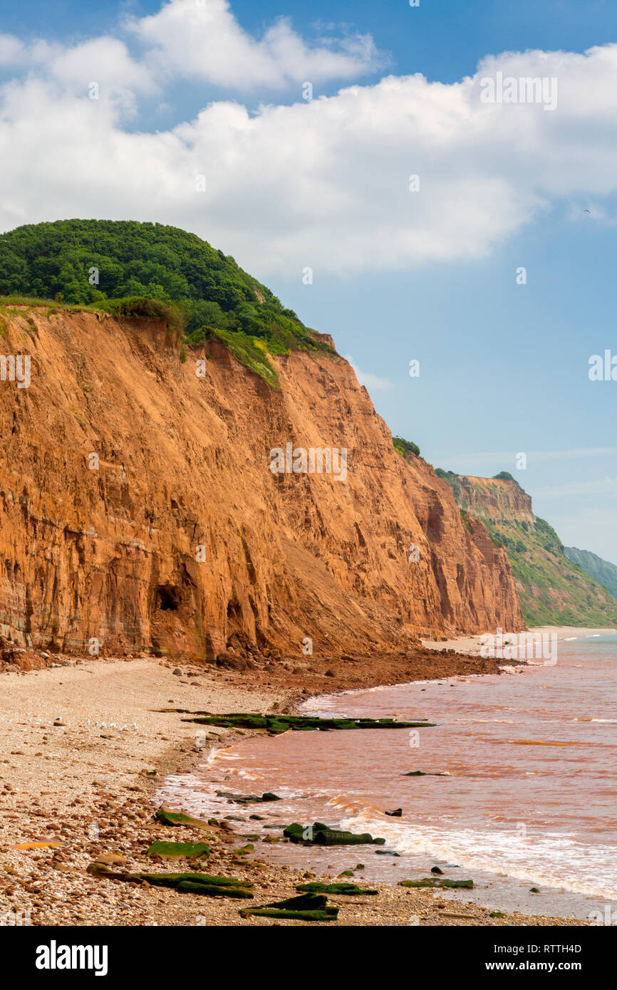 Looking east at the rock falls along the red sandstone cliffs on the ...