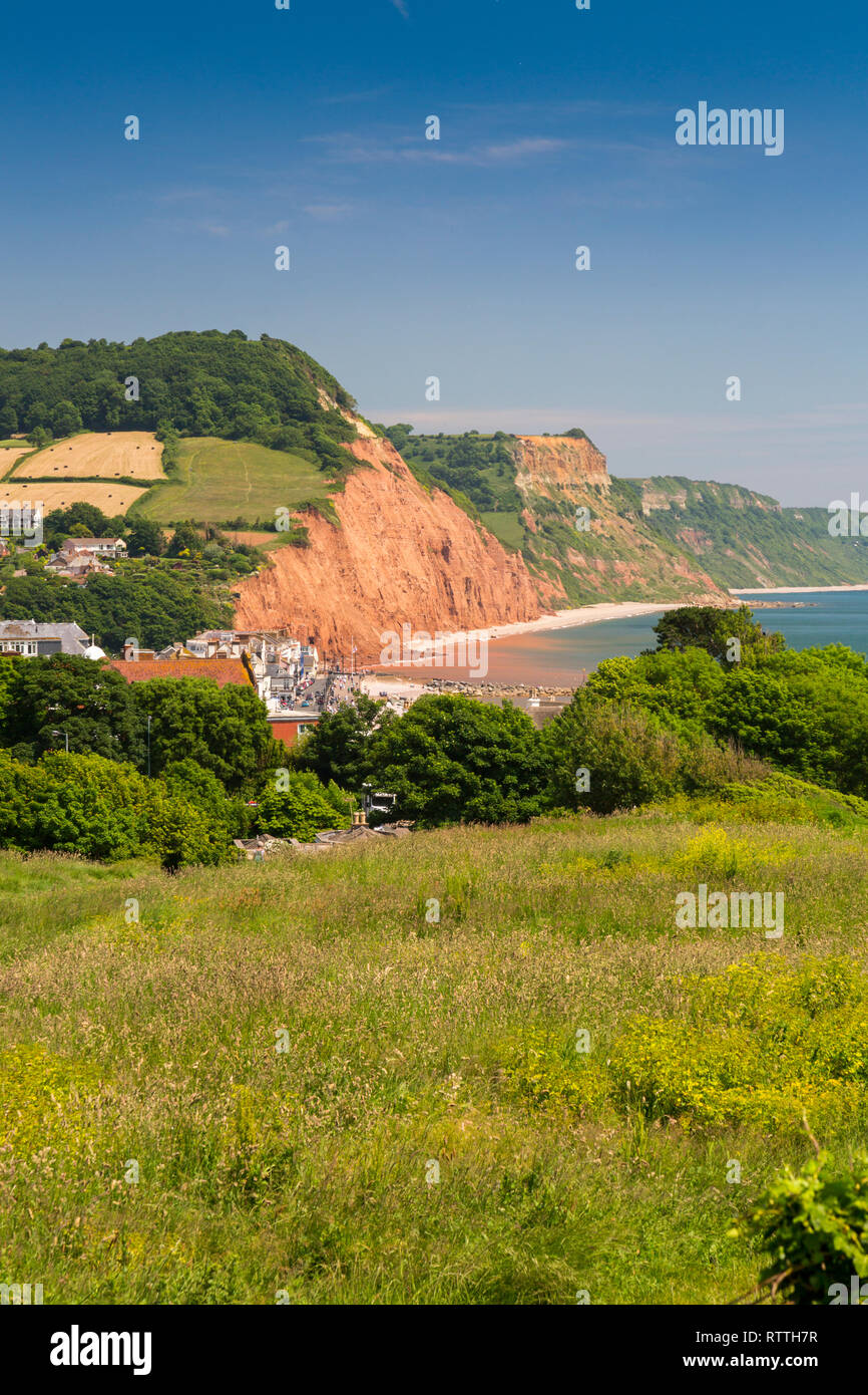 Looking east along the red sandstone cliffs on the Jurassic Coast at ...