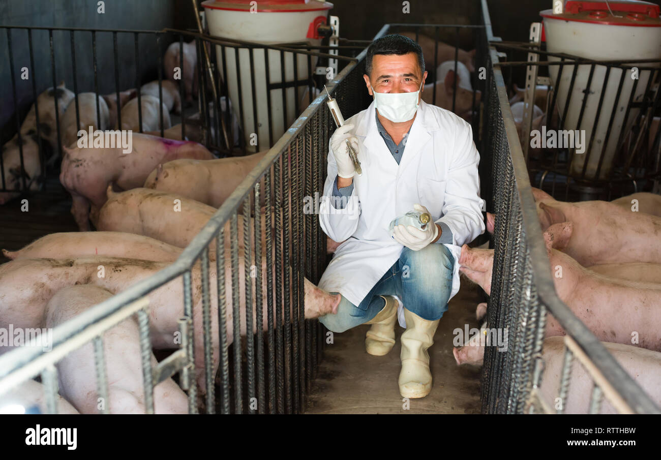 Piglet injection hi-res stock photography and images - Alamy