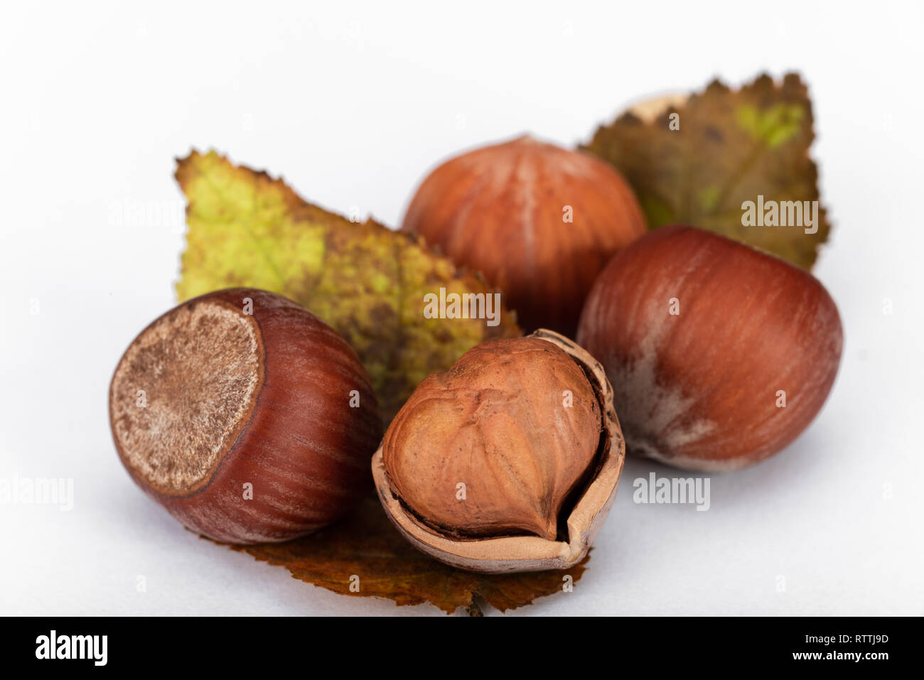 Ordu giresun hi-res stock photography and images - Alamy