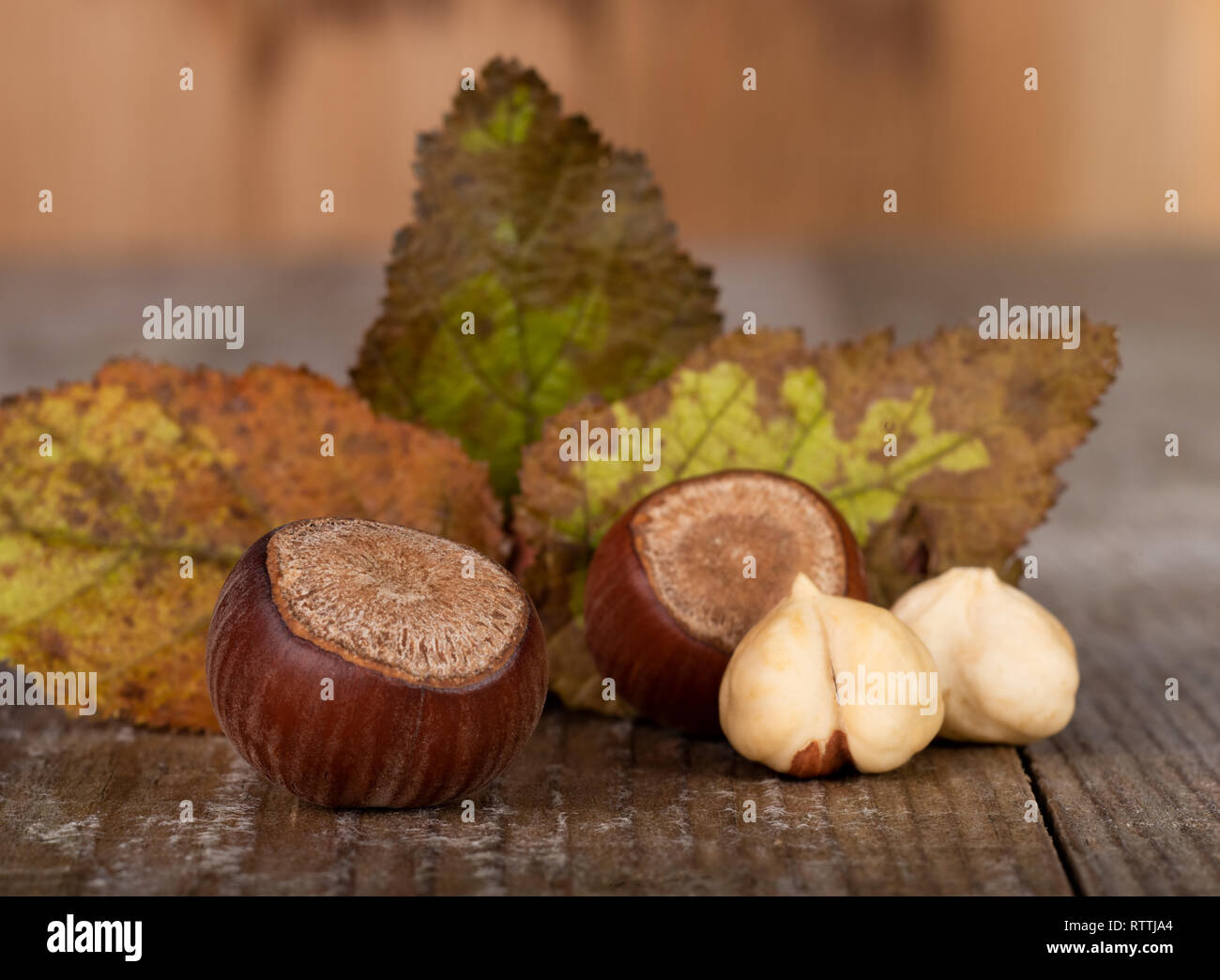 Ordu giresun hi-res stock photography and images - Alamy