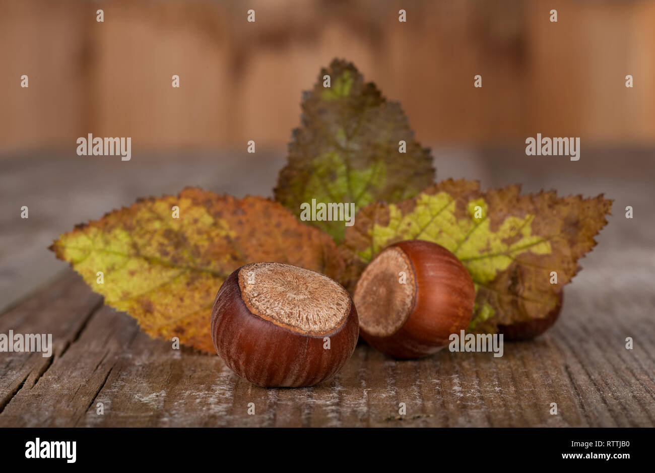 Ordu giresun hi-res stock photography and images - Alamy