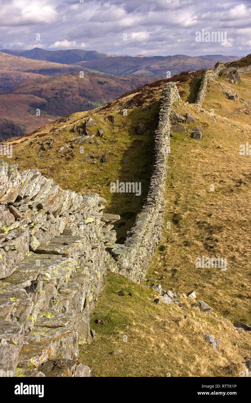 Long meandering dry stone wall following the undulations of Lingmoor ...