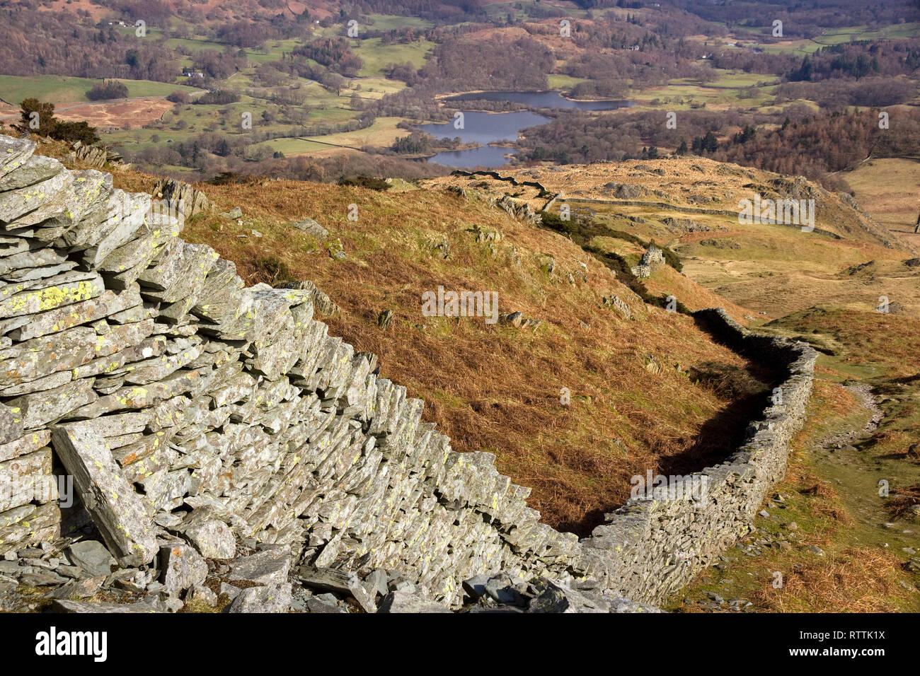 Long meandering dry stone wall on Lingmoor Fell with Elterwater beyond ...