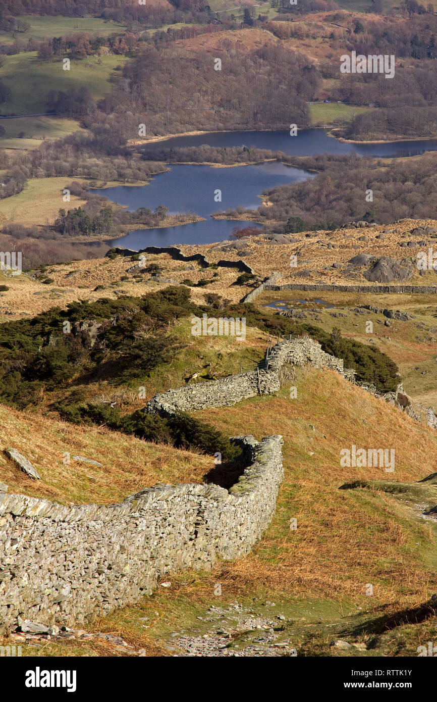 Long meandering dry stone wall on Lingmoor Fell with Elterwater beyond ...