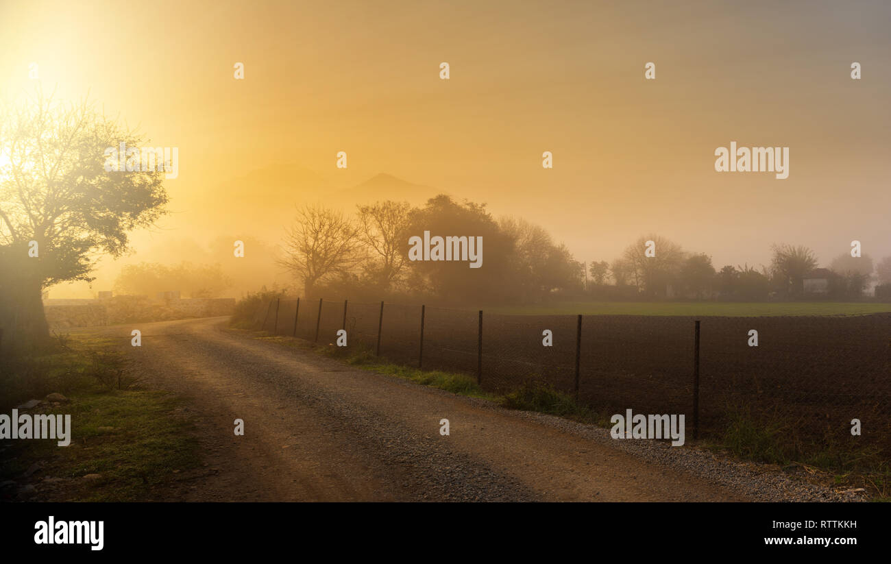 farm road at sunrise Stock Photo - Alamy