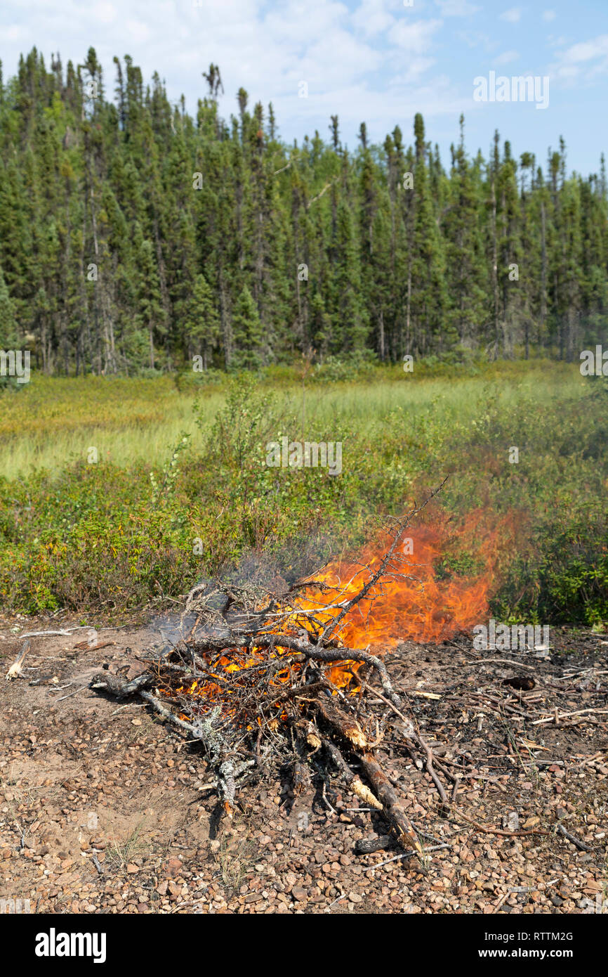 Campfire burning in Manitoba, Canada Stock Photo - Alamy