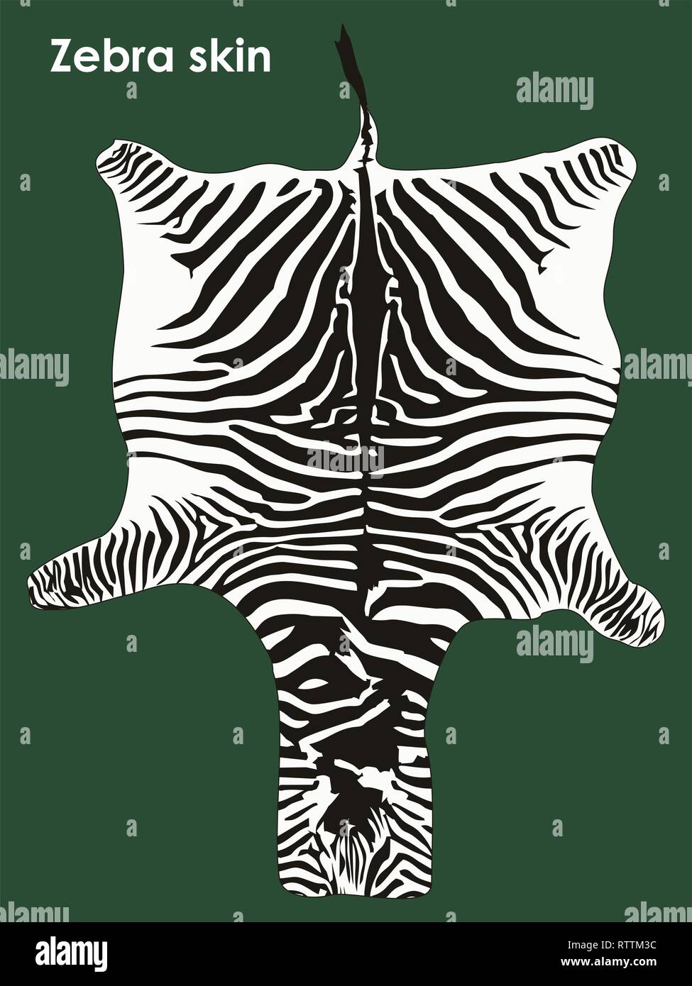Zebra colored skin Stock Vector Image & Art - Alamy