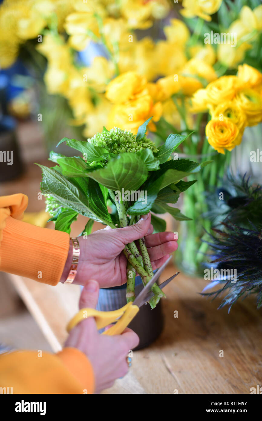 Cutting class hi-res stock photography and images - Alamy