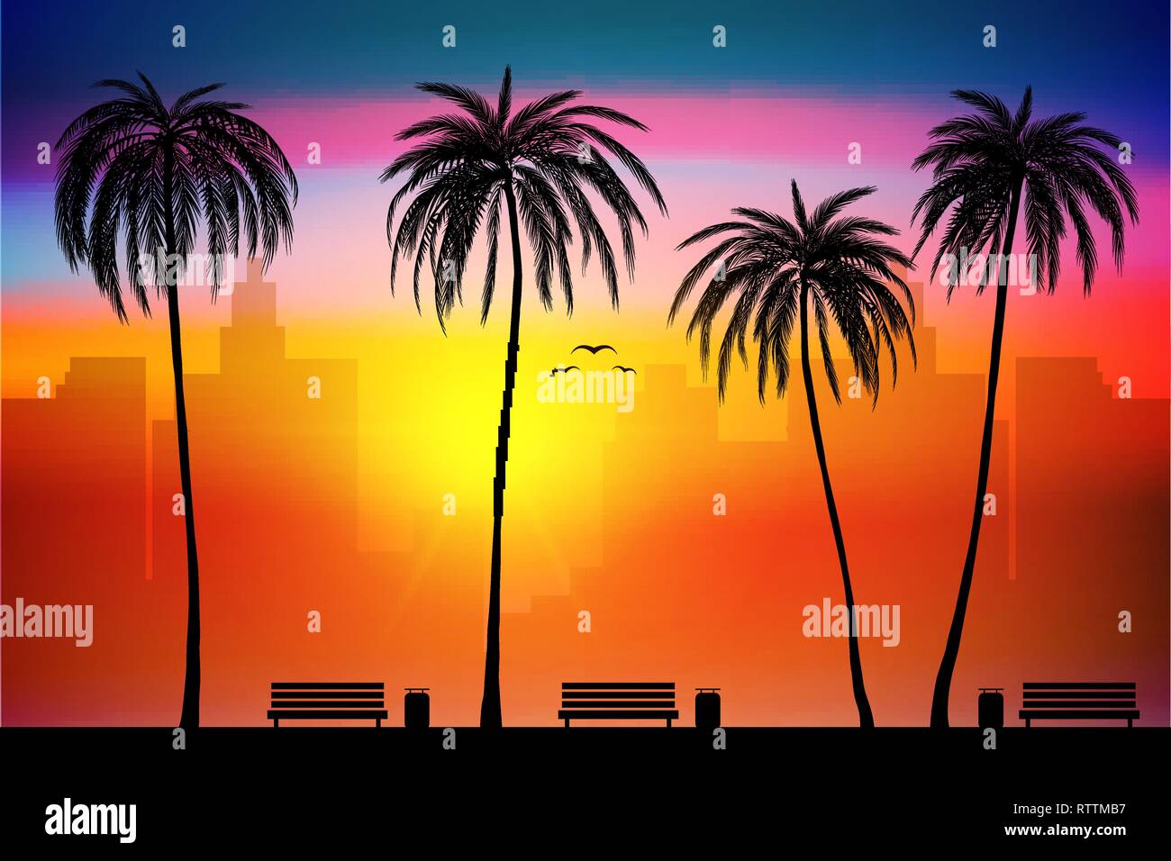 Palm Trees Sunset City