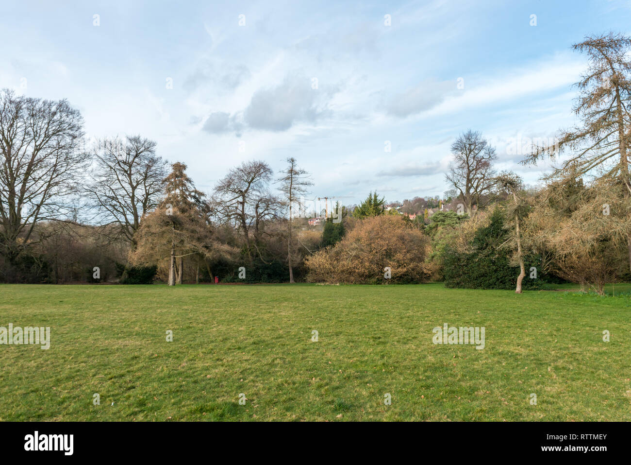 Croydon, United Kingdom - March 03, 2019: Purley Beeches park with a ...