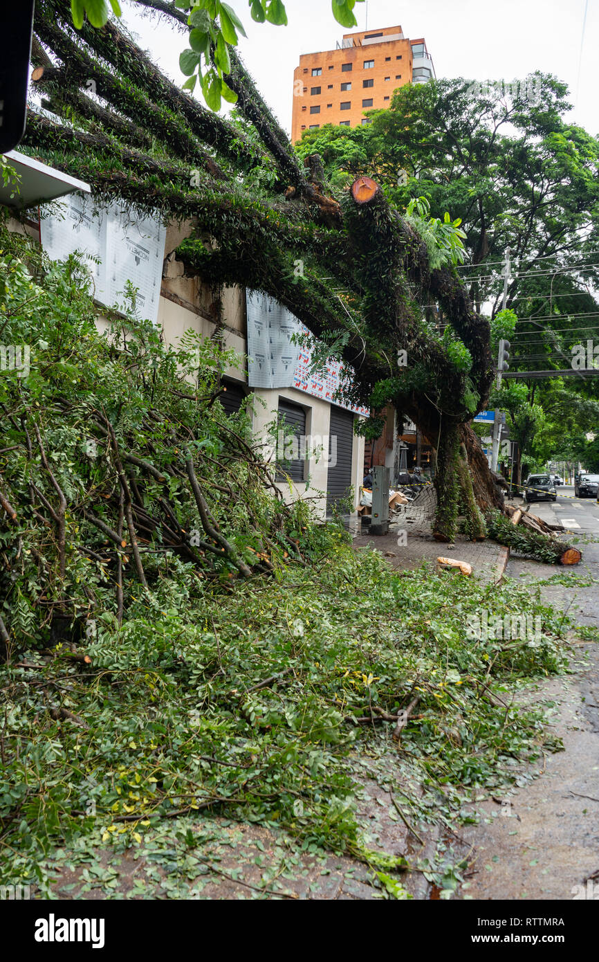 Storm season in Sao Paulo can cause a lot of damage, as evidence from ...