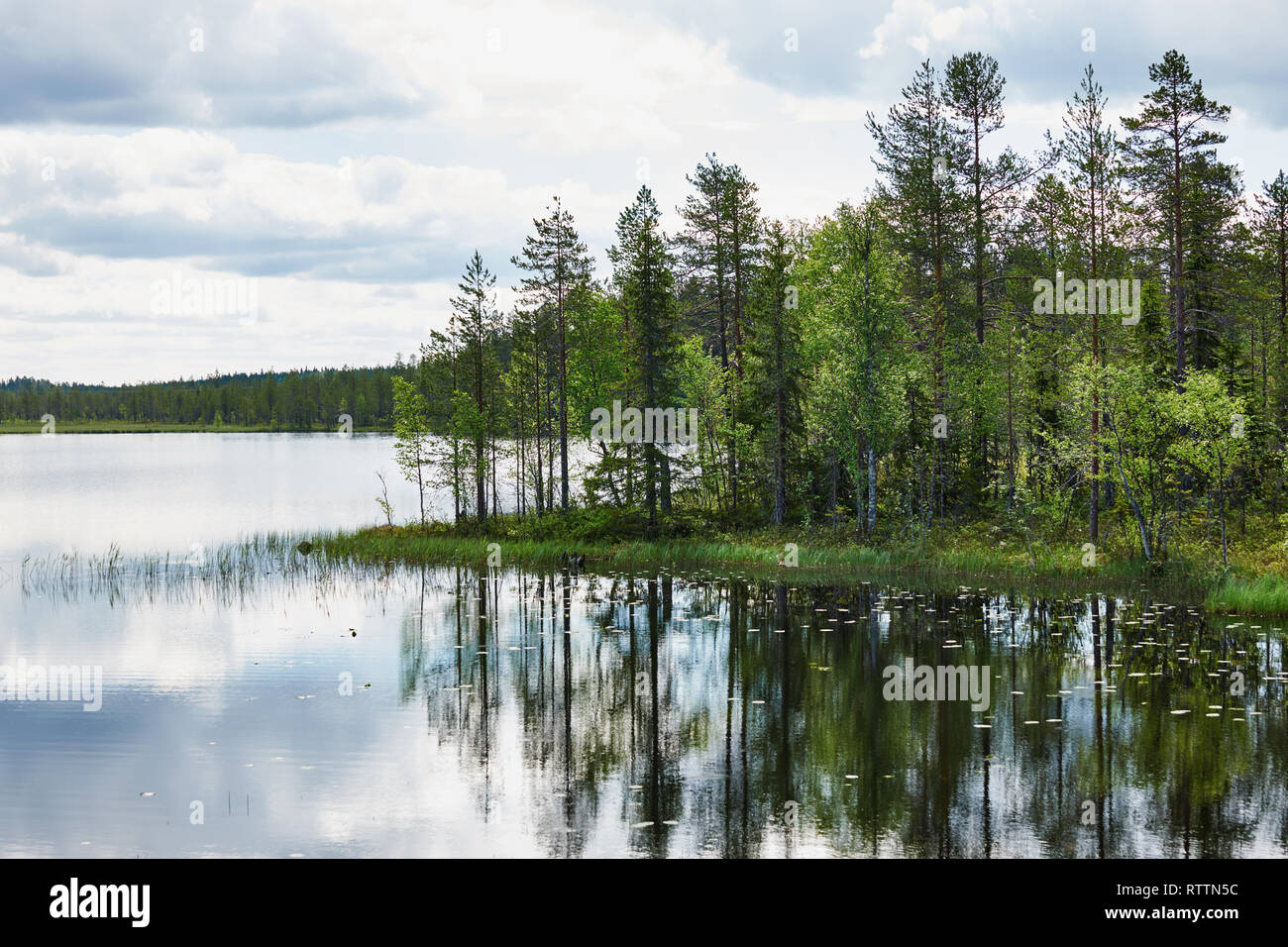 Relaxing Finnish landscape, with lake, forest, trees, sky and clouds ...