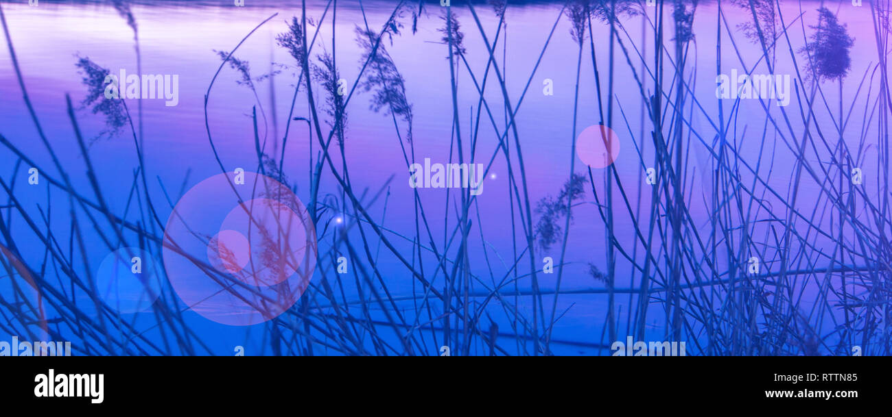 colorful sunset on sky, color gradient from blue changed to violet and ...