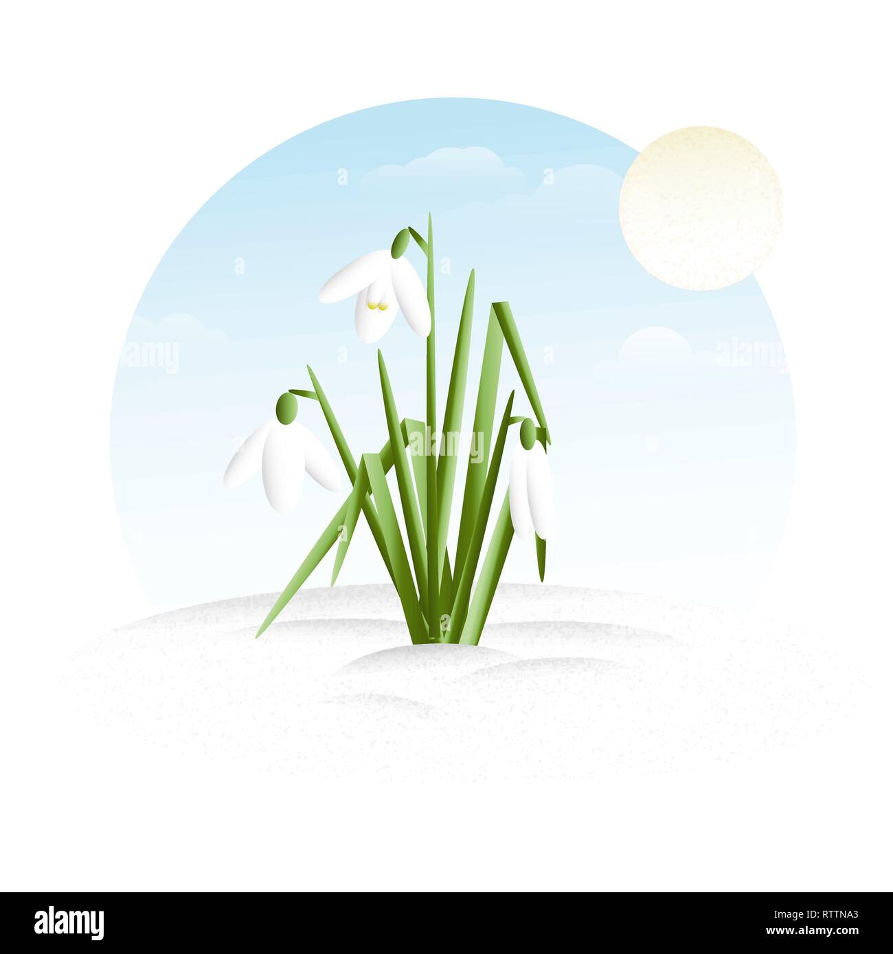 Snowdrop - minimalistic flat design vector illustration clipart Stock ...