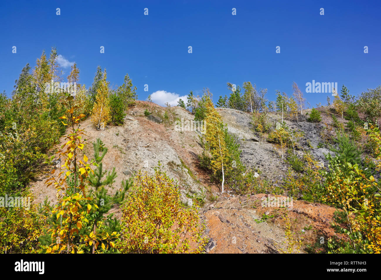 the mountain autumn landscape with colorful forest on a sunny September ...