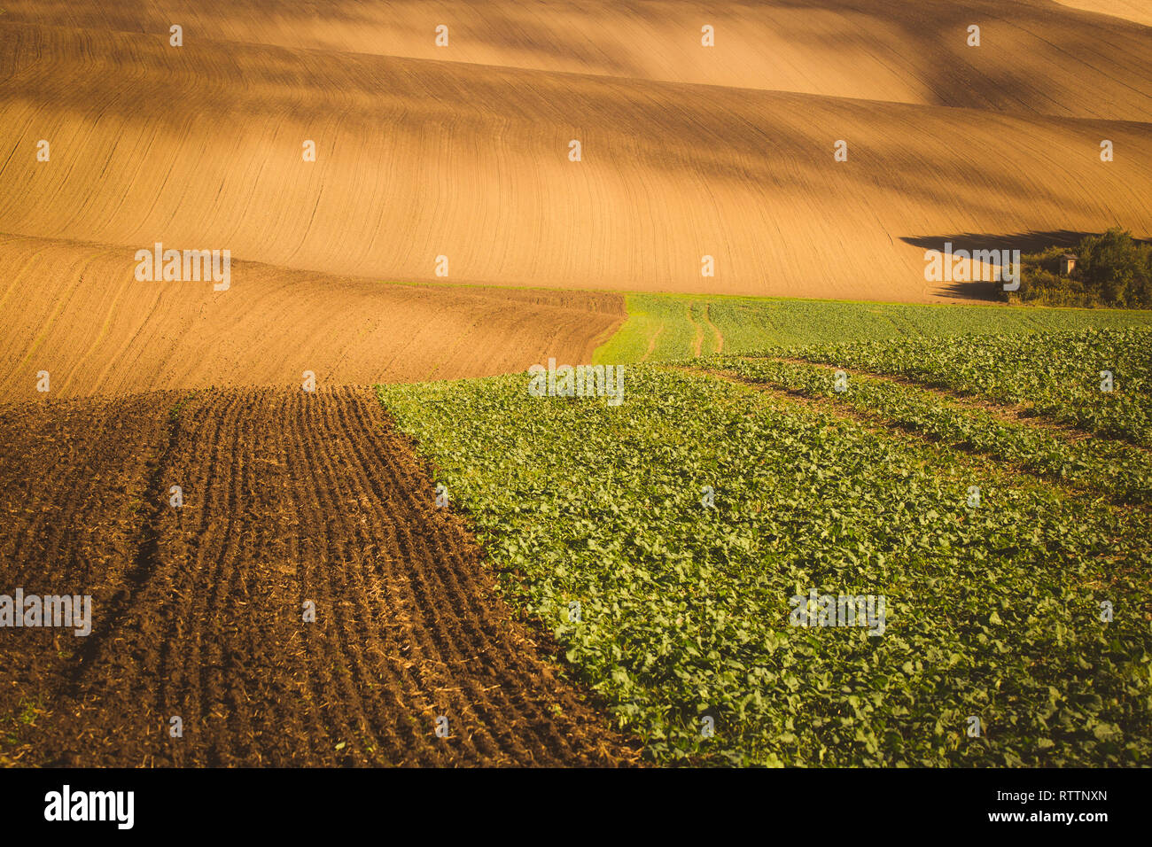 Autumn picturesque rolling countryside of South Moravian fields and ...