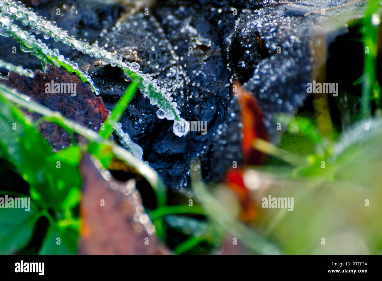 Frozen water drops hi-res stock photography and images - Alamy
