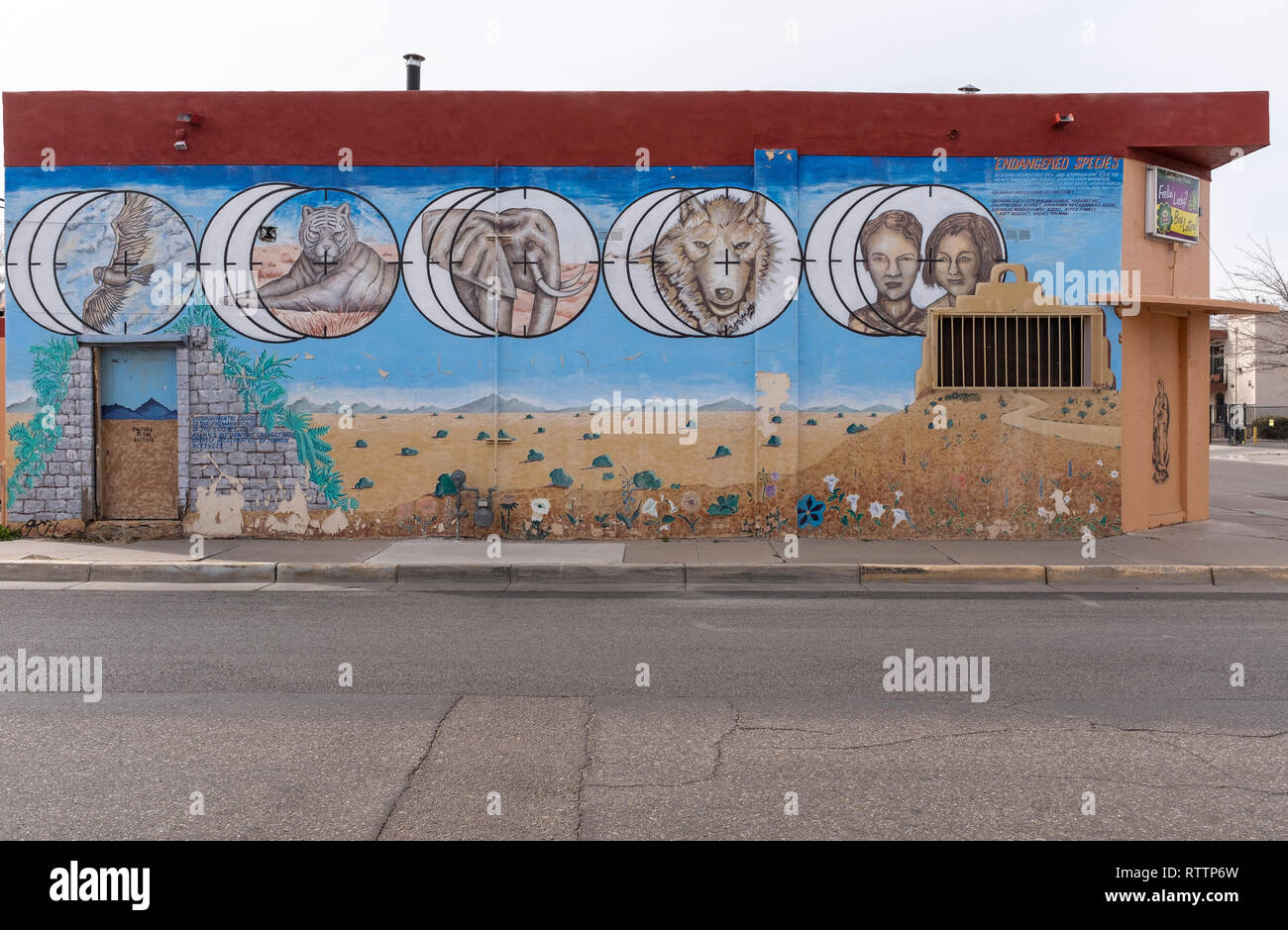"Endangered Species" mural on wall of Country Club Market, Albuquerque ...