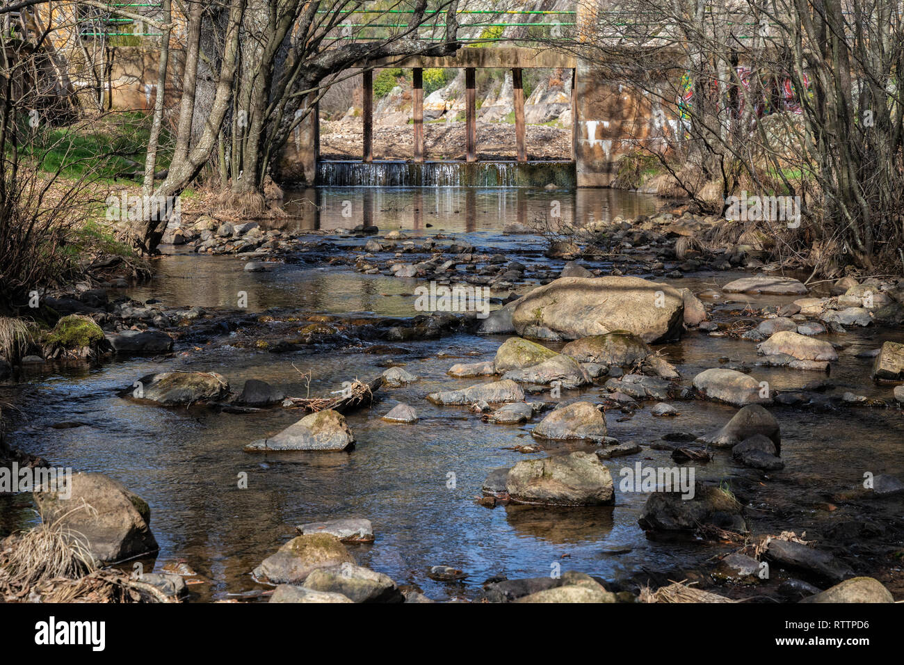 Canamero hi-res stock photography and images - Alamy