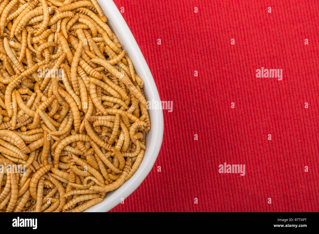 Freeze-dried edible Mealworms / Tenebrio molitor + Chinese-style bowl ...