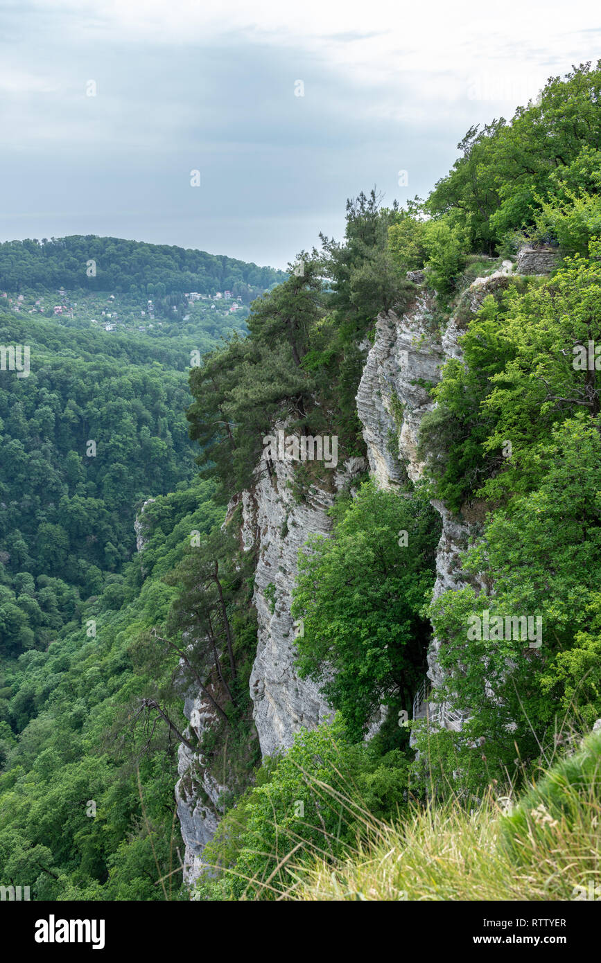 Mountain with a steep rocky slope and valley with thick green forest ...