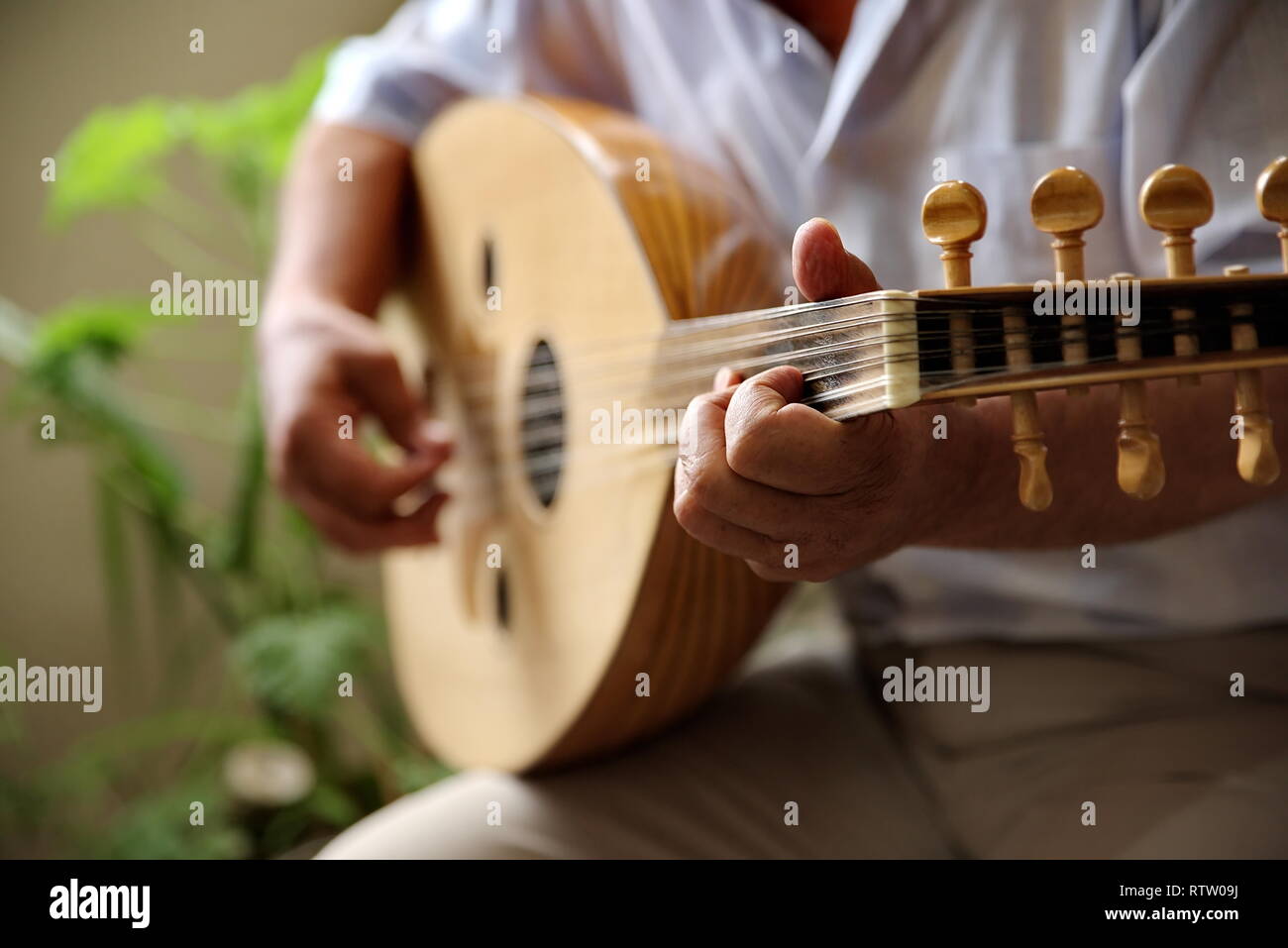 Saz-Turkish musical instrument Stock Photo - Alamy