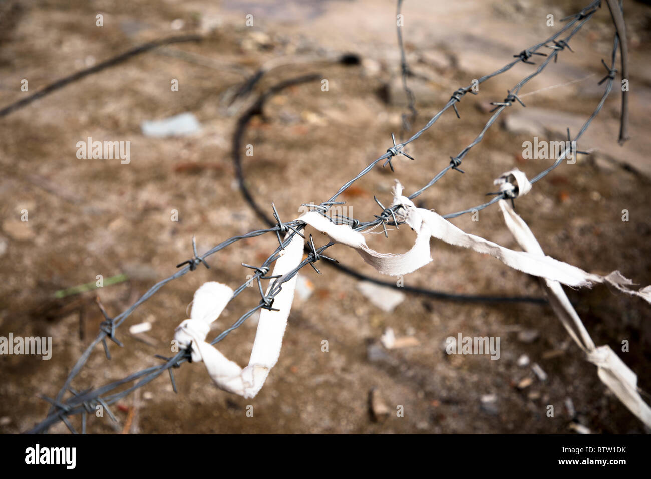 Barbed wire on a brown background, Barbed wire on abstract background ...