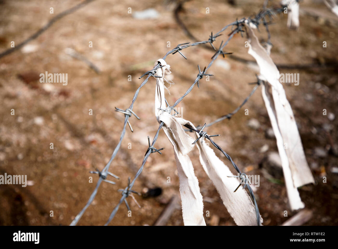 Barbed wire on a brown background, Barbed wire on abstract background ...