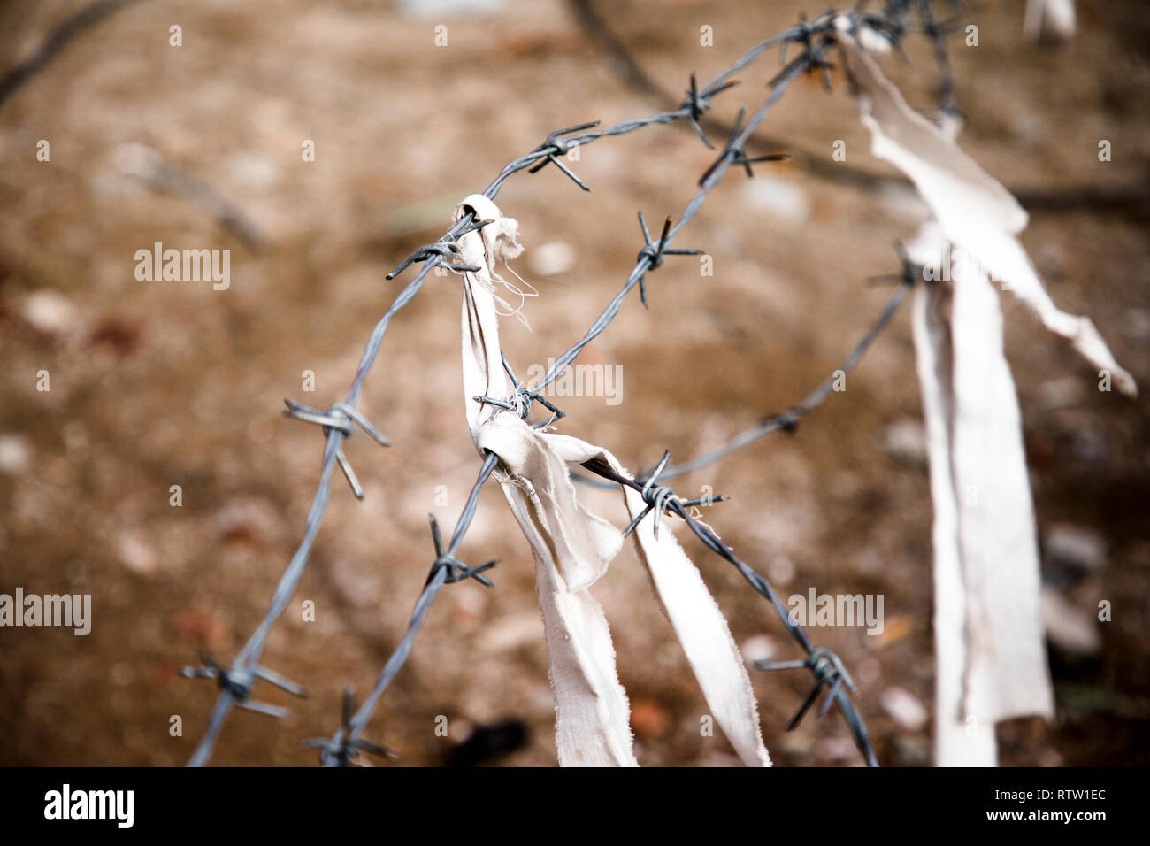 Barbed wire on a brown background, Barbed wire on abstract background ...